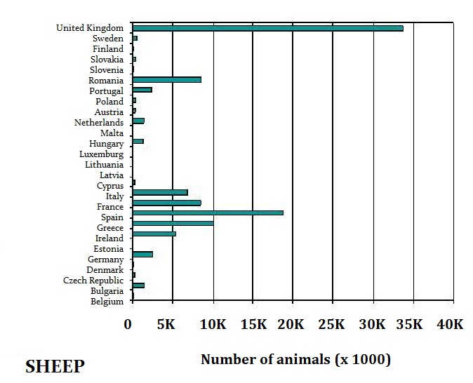 Sheep – Encyclopedia pratensis