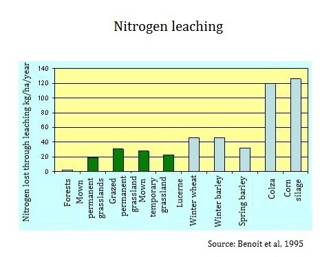 Limiting Nitrogen Leaching – Encyclopedia pratensis