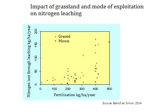 Limiting Nitrogen Leaching – Encyclopedia pratensis