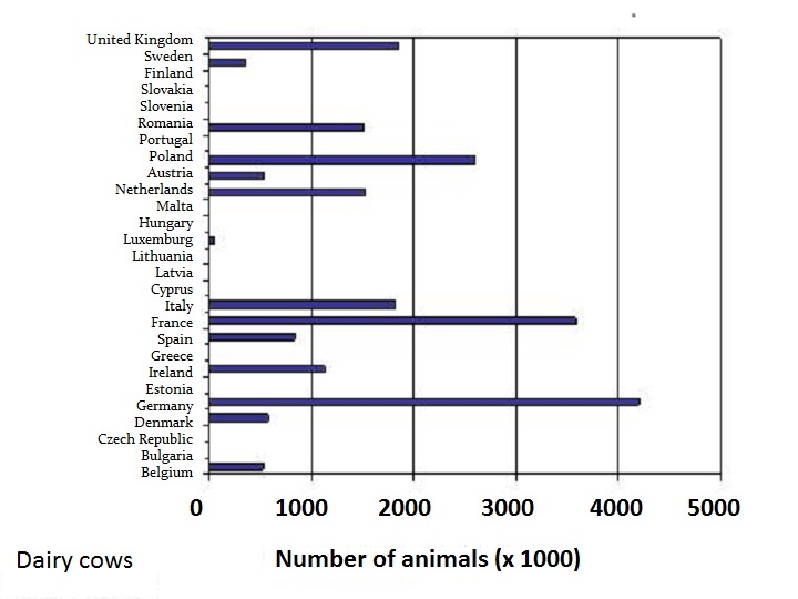 Cattle – Encyclopedia pratensis