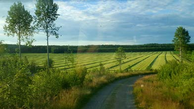 Separated slurry and distribution pipeline – better spreading in ...