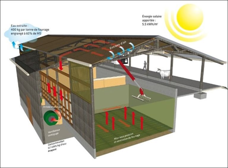 Barn drying – Encyclopedia pratensis