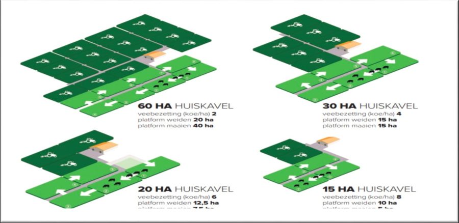 Compartmented continuous grazing – Encyclopedia pratensis